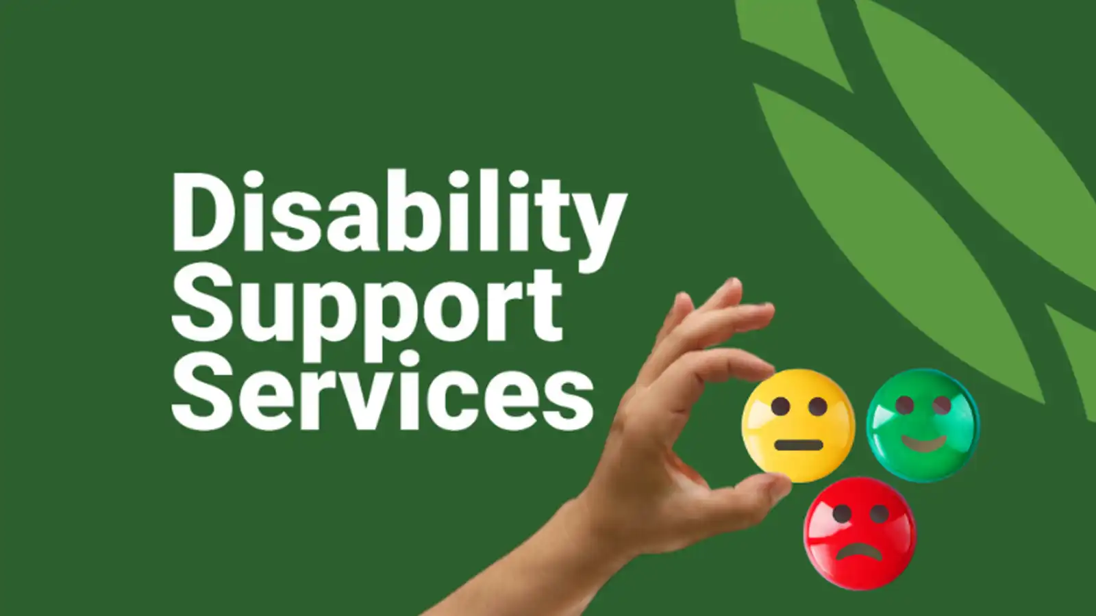 Disability assessments and funding feedback | Firstport